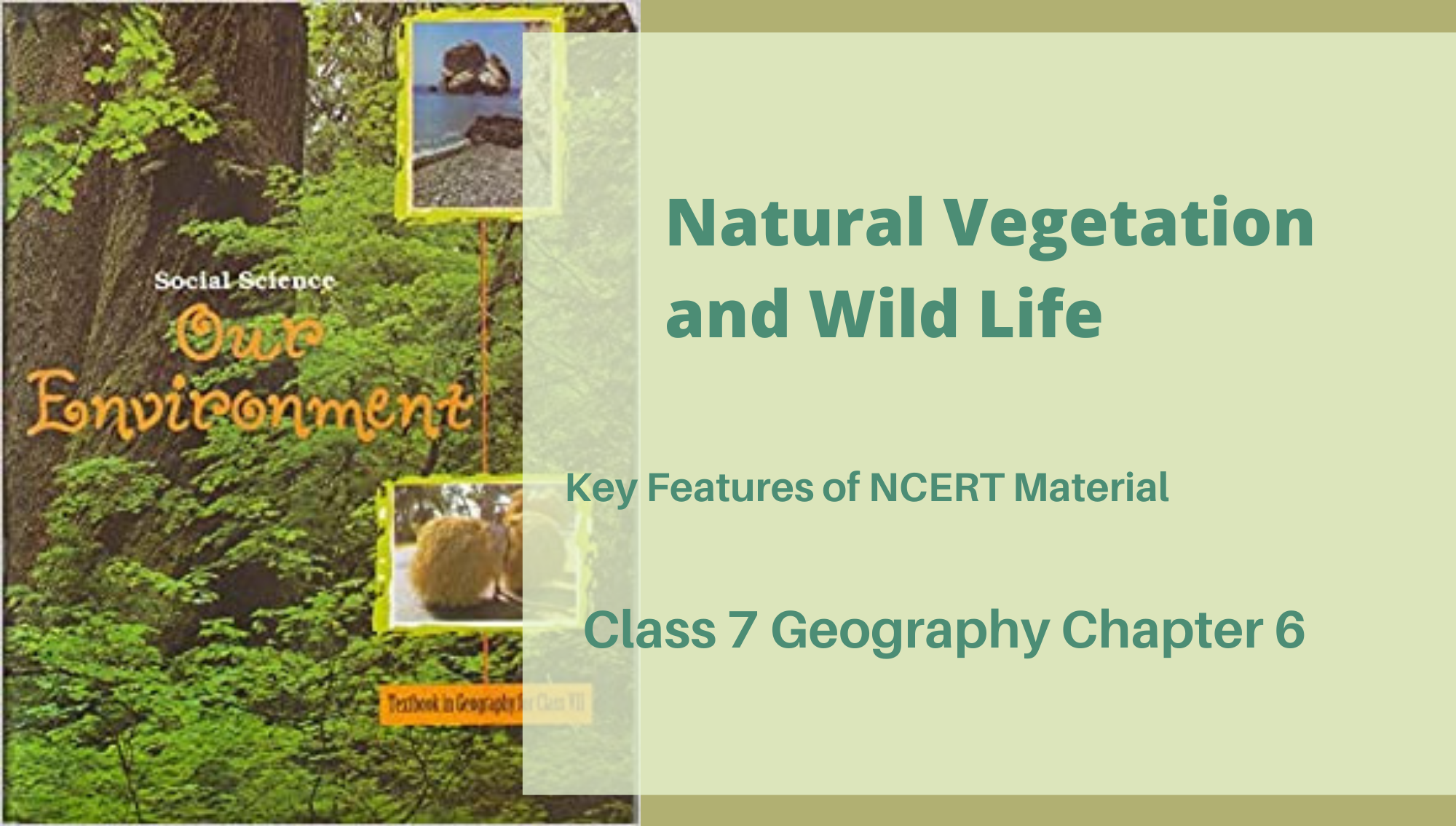 Natural Vegetation And Wildlife Class 7 Geography NCERT Chapter 6